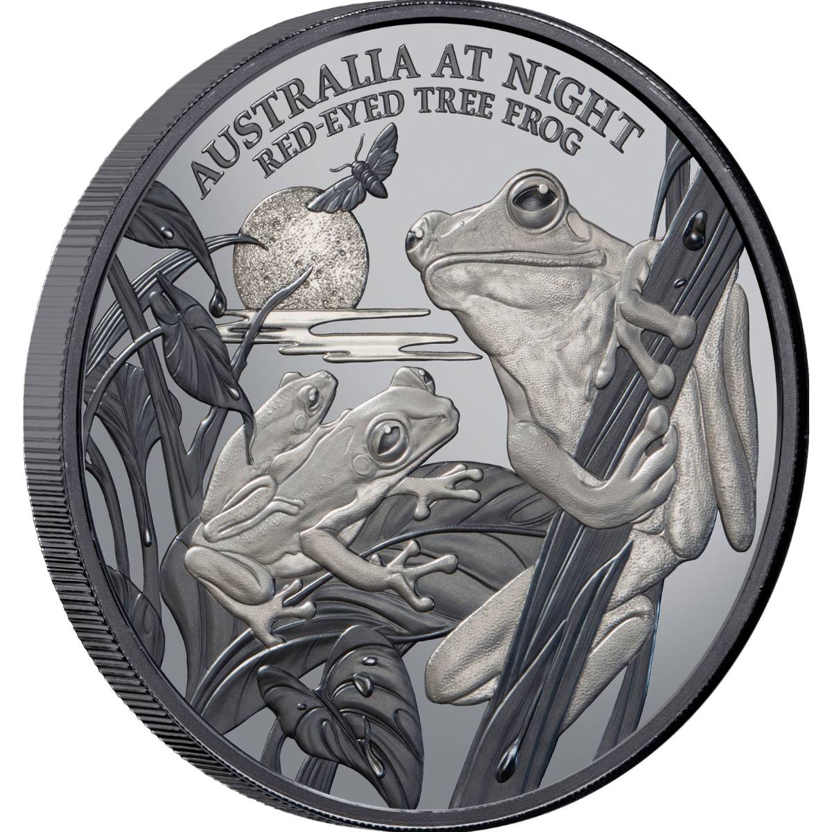 Australia at Night 2024 $1 Red-eyed Tree Frog 1oz Silver Black Proof C – Downies Collectables