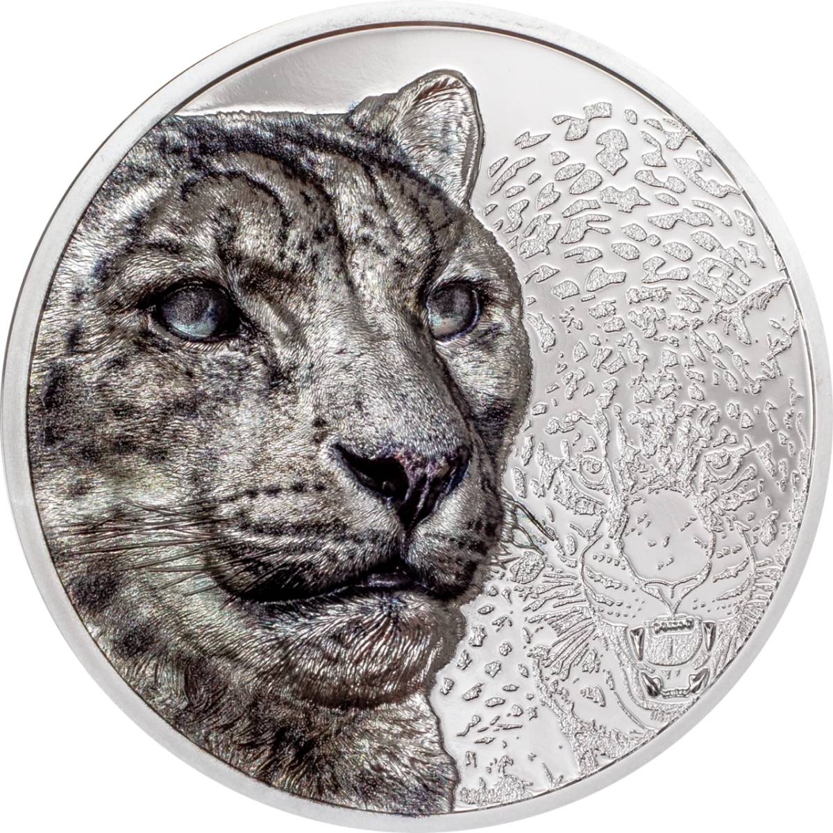 Wild Mongolia 2024 2,000T Snow Leopard Ultra High Relief 3oz Silver Pr – Downies Collectables