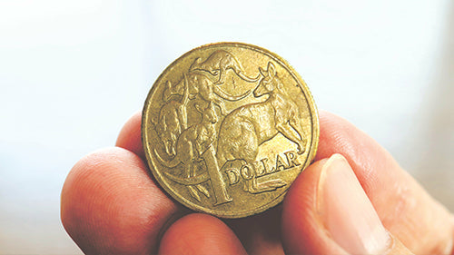 Treasures in your change – the $1 coin! – Downies Collectables