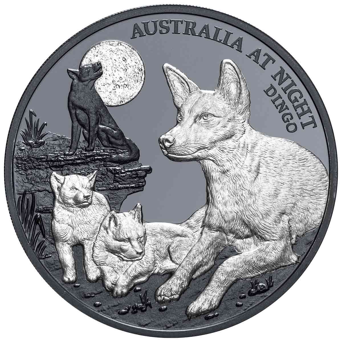 Dingo Australia at Night 2021 $1 1oz Silver Black Proof Coin – Downies ...