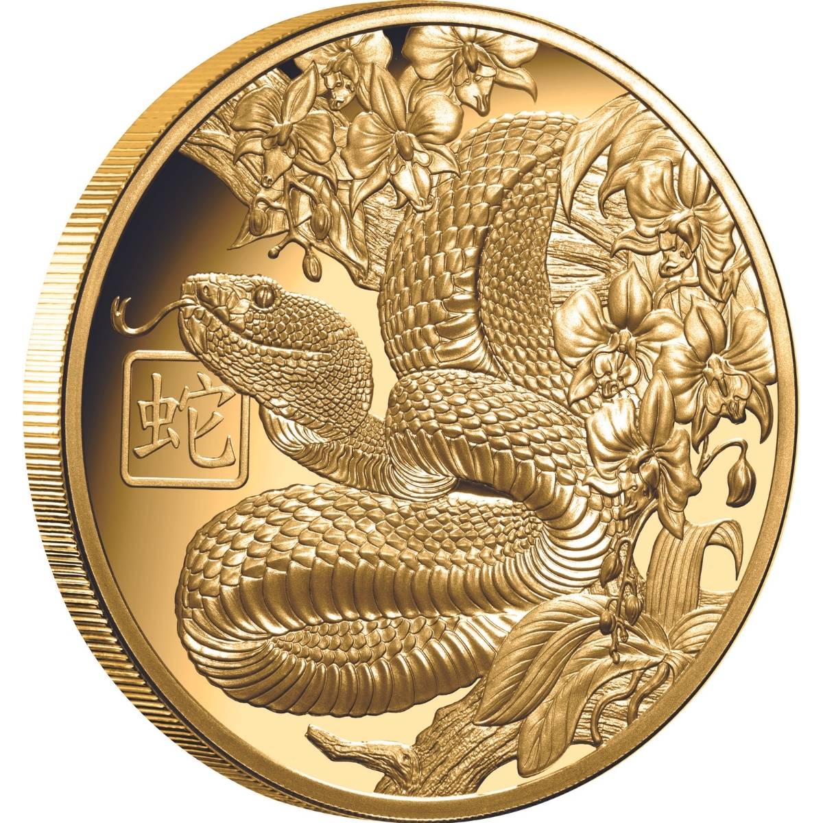 Lunar Year of the Snake 2025 $100 1oz Gold Proof Coin – Downies ...