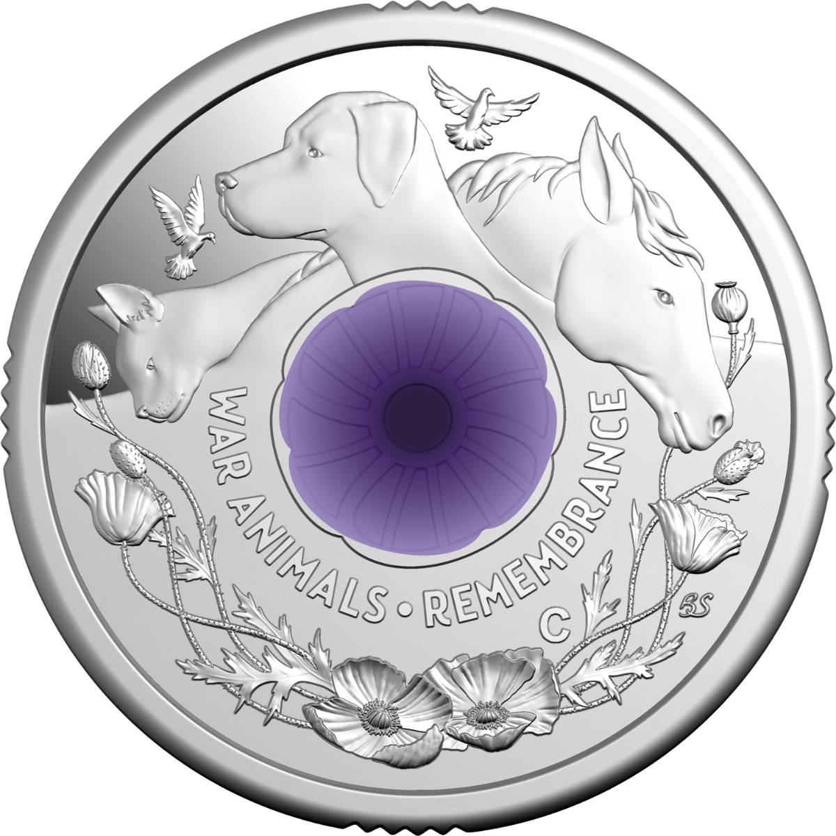Australia War Animals Remembrance 2024 $2 C Mintmark Silver Proof Coin ...
