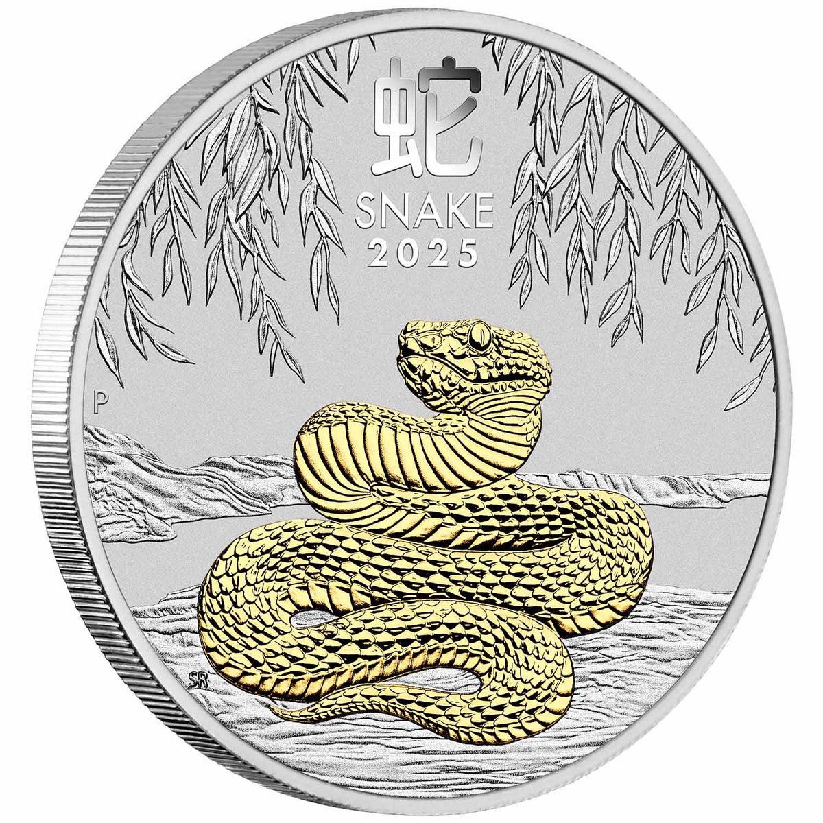 Australia Lunar Year of the Snake 2025 $1 Gold-plated 1oz Silver Brill ...