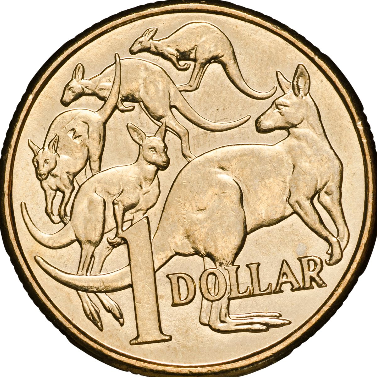 Buy $1 Coins Australia Online | Downies Collectables