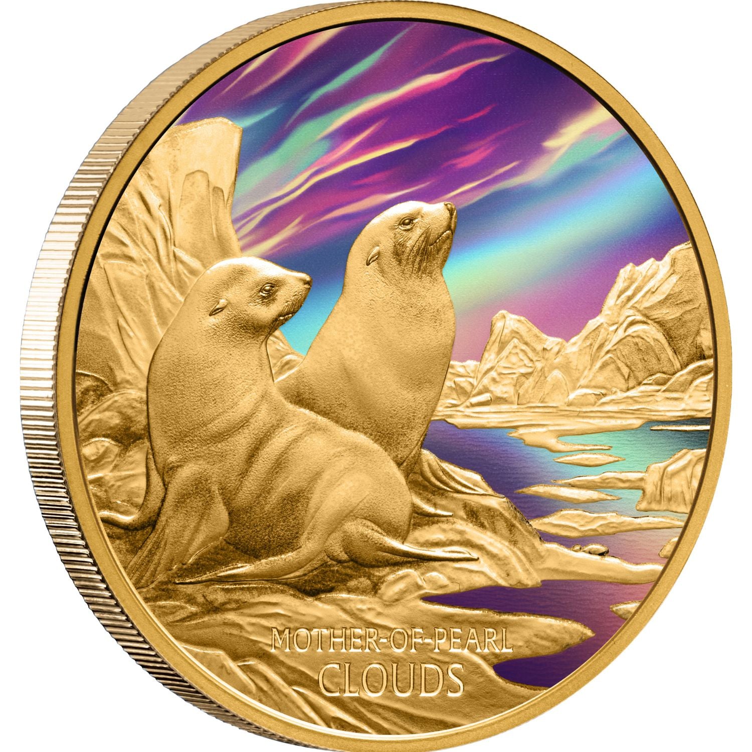 Downies New Releases – Downies Collectables