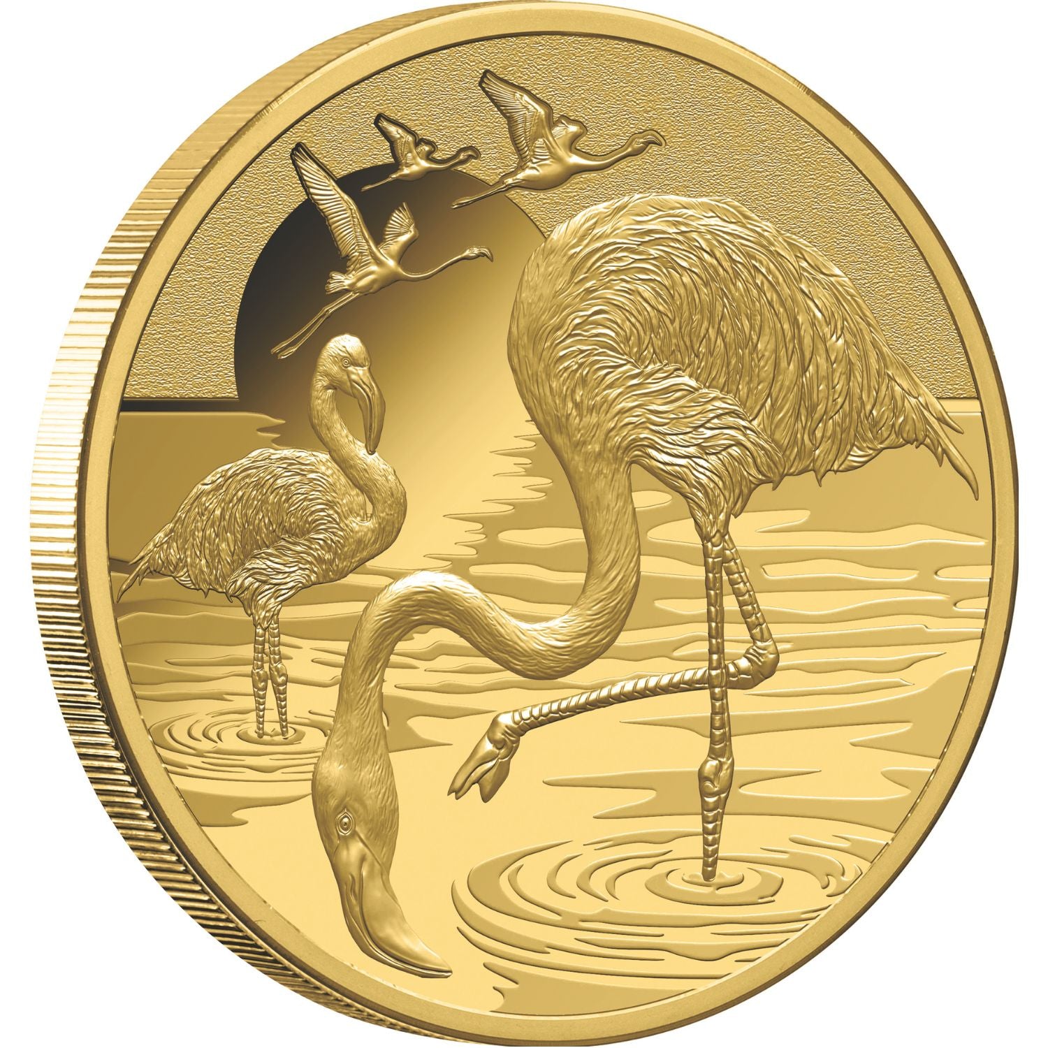 Downies New Releases – Downies Collectables