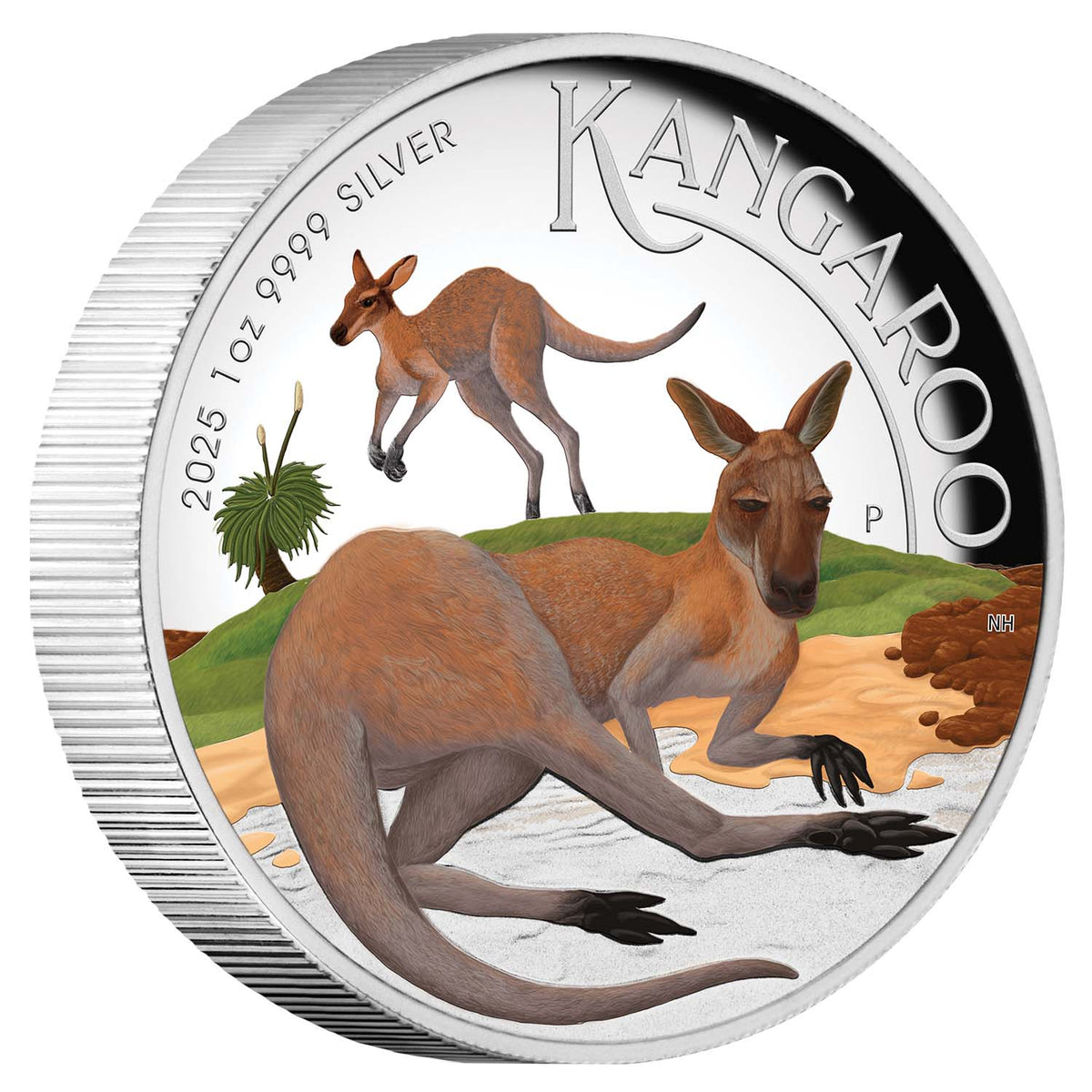 Australia Kangaroo 2025 $1 Colour High Relief 1oz Silver Proof Coin ...