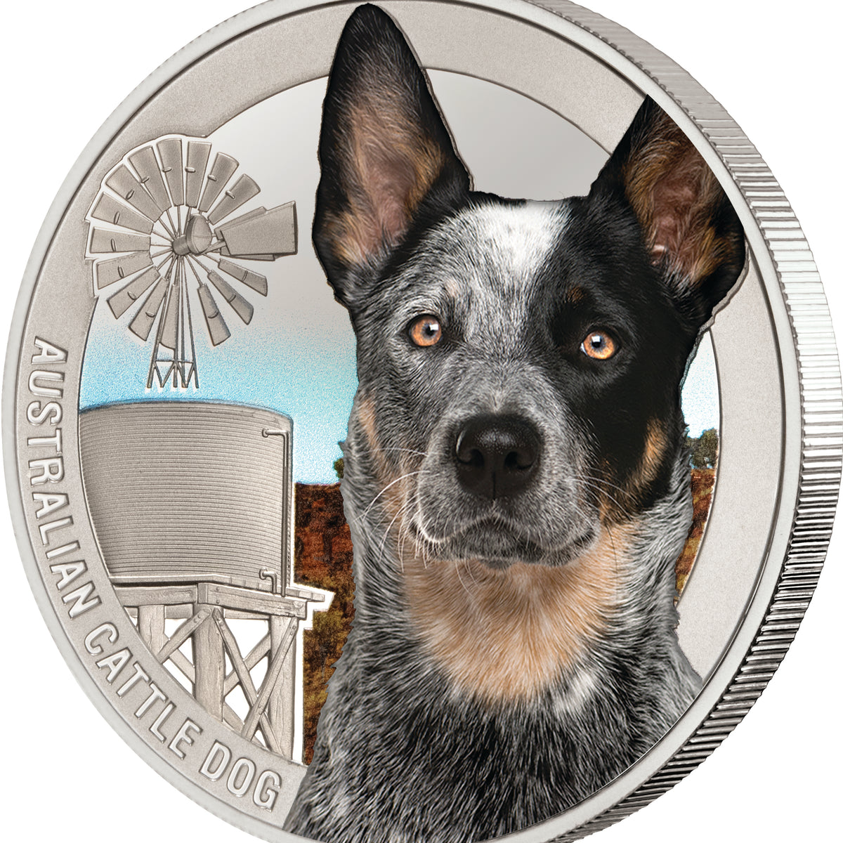 Cattle Dog Silver Prooflike Commemorative – Downies Collectables