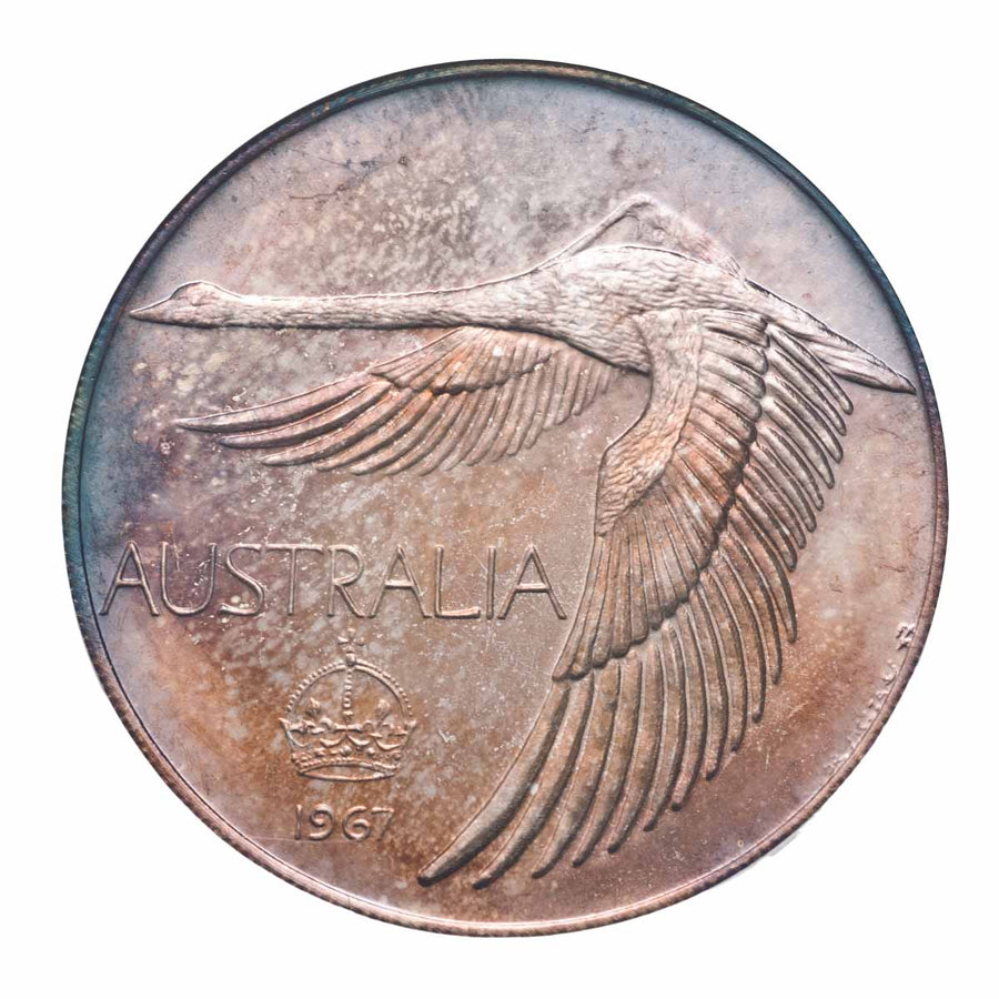 Rare Australian Coins | Downies Collectables