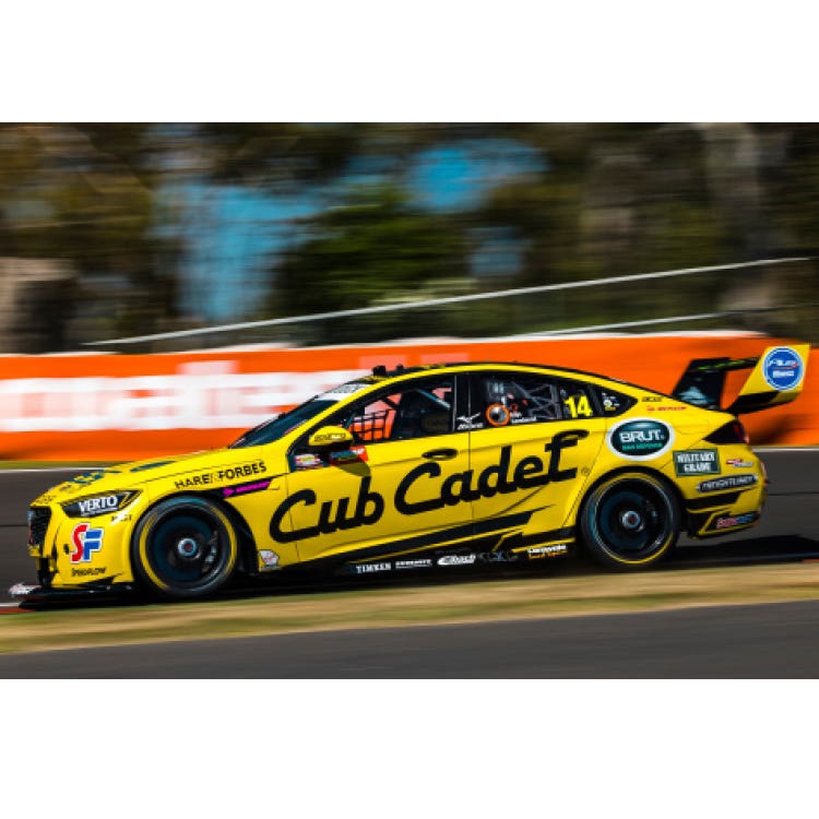 Holden ZB Commodore - Cub Cadet Mowers - #14, T.Hazelwood / J.Boys - R ...